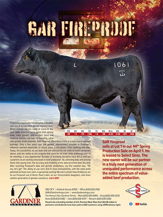 Goode Angus : Bulls For Sale